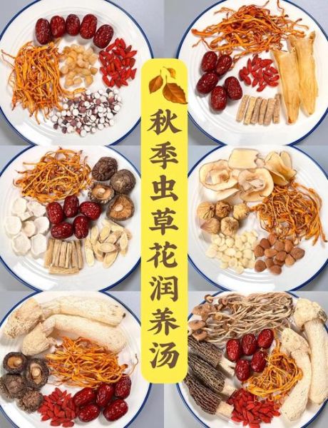 虫草花怎么吃_虫草花煲汤做法-第1张图片-山城妙识