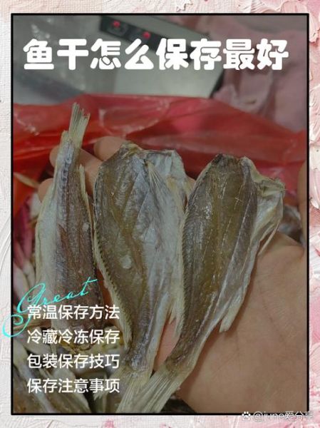 鱼干怎么保存不变质_鱼干可以冷冻吗-第1张图片-山城妙识 鱼干怎么保存不变质_鱼干可以冷冻吗-第1张图片-山城妙识