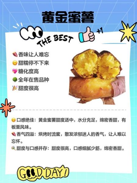 全国最好吃的红薯排名_哪里产的红薯最甜-第1张图片-山城妙识
