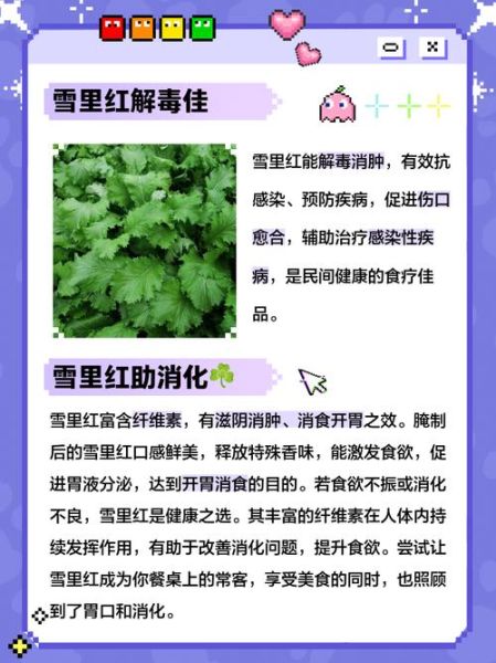雪里红是什么菜_雪里红有什么功效-第3张图片-山城妙识