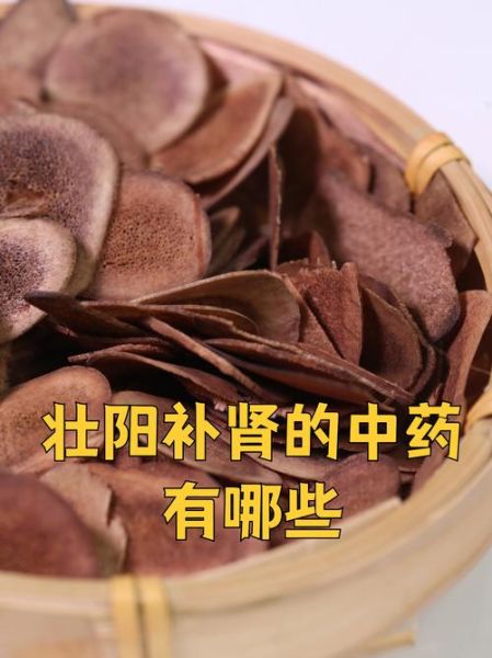 补肾壮阳中药排行榜_哪些药材最有效-第1张图片-山城妙识