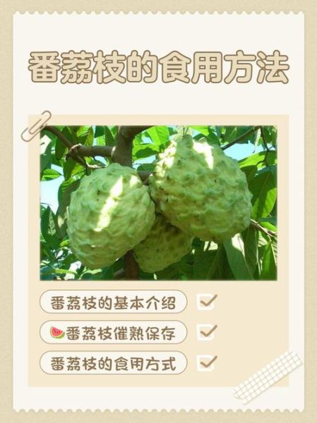 番荔枝的籽能吃吗_番荔枝籽怎么吃-第1张图片-山城妙识