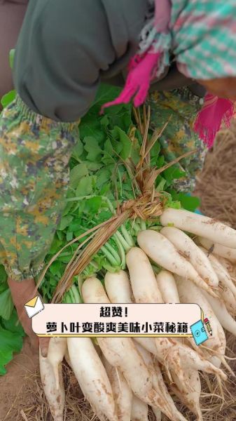 萝卜菜叶怎么腌制才好吃_萝卜菜叶腌制方法-第3张图片-山城妙识 萝卜菜叶怎么腌制才好吃_萝卜菜叶腌制方法-第3张图片-山城妙识