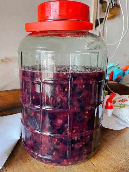 葡萄酒怎么酿_家庭自酿葡萄酒方法窍门-第3张图片-山城妙识