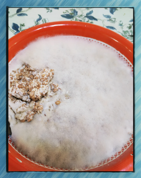 腊八豆怎么做_腊八豆家常做法-第3张图片-山城妙识