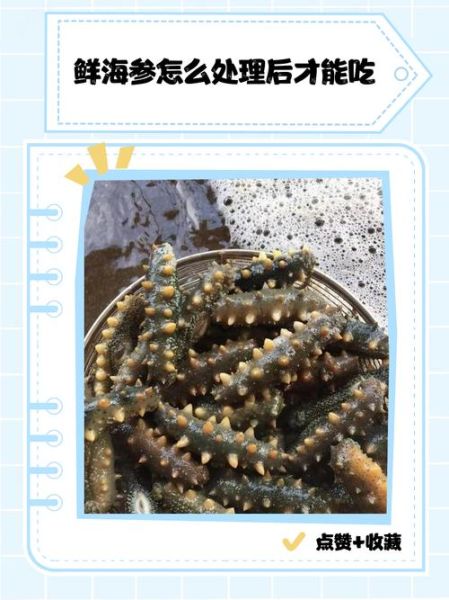 鲜海参怎么处理才能吃_鲜海参去内脏步骤-第1张图片-山城妙识