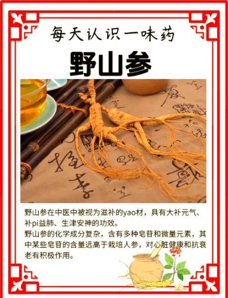 山参的功效与作用及食用方法_怎么吃效果最好-第1张图片-山城妙识 山参的功效与作用及食用方法_怎么吃效果最好-第1张图片-山城妙识