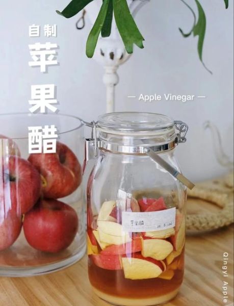 自制苹果醋的做法大全_苹果醋怎么保存不变质-第2张图片-山城妙识