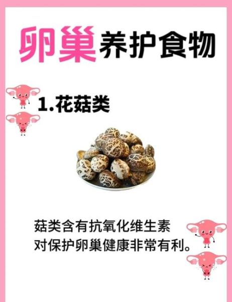 延缓卵巢衰老的最好方法_女性保养卵巢吃什么好-第3张图片-山城妙识 延缓卵巢衰老的最好方法_女性保养卵巢吃什么好-第3张图片-山城妙识