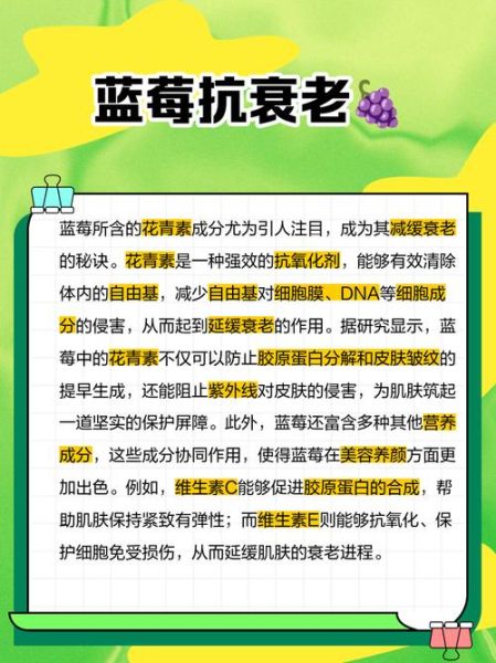 吃蓝莓有什么好处和坏处_蓝莓吃多了会怎样-第1张图片-山城妙识