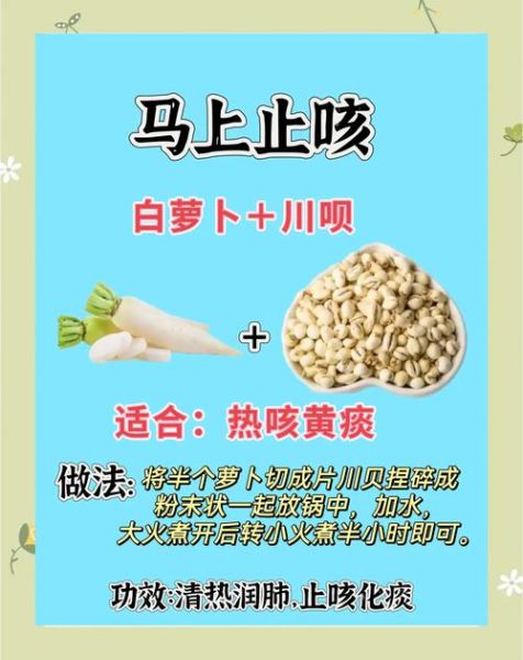 白萝卜止咳化痰偏方_白萝卜怎么吃止咳效果最好-第2张图片-山城妙识