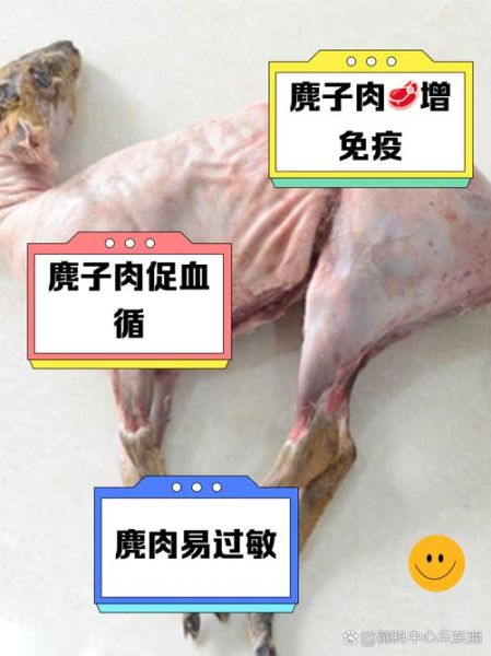 麂子肉是发物吗_术后能吃麂子肉吗-第1张图片-山城妙识