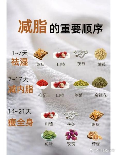 吃什么能减肥最快不反弹_如何吃才瘦得快-第3张图片-山城妙识