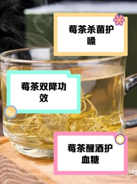 茅岩莓茶的功效与作用_茅岩莓茶怎么喝才有效-第2张图片-山城妙识