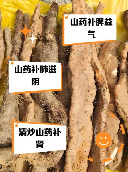 炒山药的功效与作用_炒山药怎么炒好吃又营养-第1张图片-山城妙识