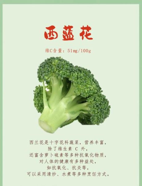 西兰花能防癌吗_吃西兰花的禁忌有哪些-第2张图片-山城妙识 西兰花能防癌吗_吃西兰花的禁忌有哪些-第2张图片-山城妙识