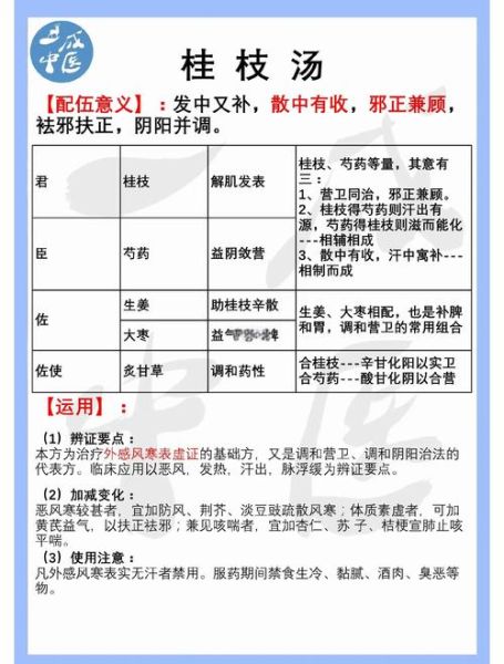 桂枝汤加减治万病吗_桂枝汤加减治万病原理-第1张图片-山城妙识