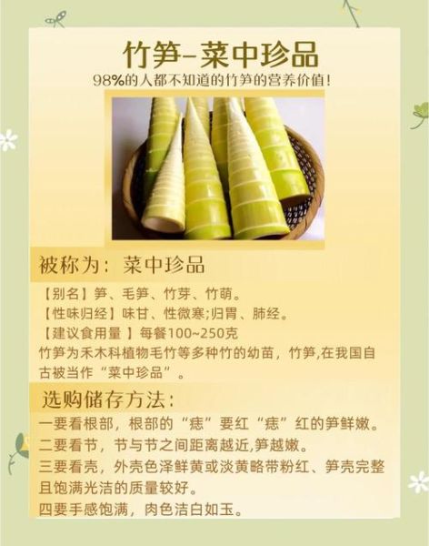 竹笋的营养价值及功效_竹笋的禁忌有哪些-第1张图片-山城妙识