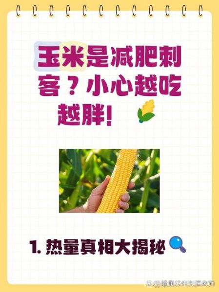 糯玉米减肥可以吃吗_糯玉米热量高吗-第1张图片-山城妙识