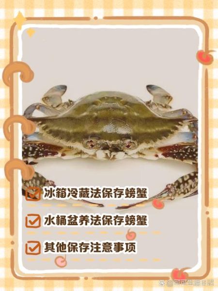 大闸蟹怎么保存_大闸蟹放冰箱能活几天-第1张图片-山城妙识