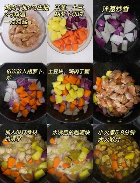 日式咖喱鸡肉饭怎么做_咖喱块什么时候放-第3张图片-山城妙识