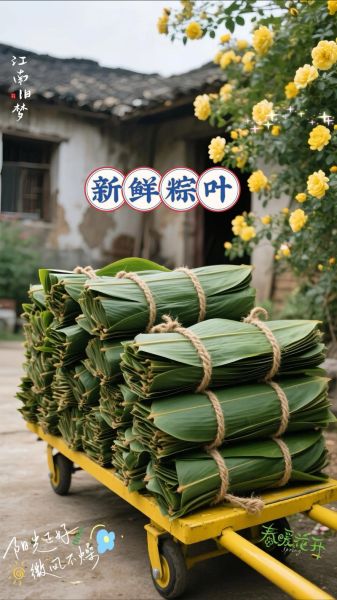 粽子叶要不要先煮一下_新鲜粽叶怎么处理-第3张图片-山城妙识 粽子叶要不要先煮一下_新鲜粽叶怎么处理-第3张图片-山城妙识