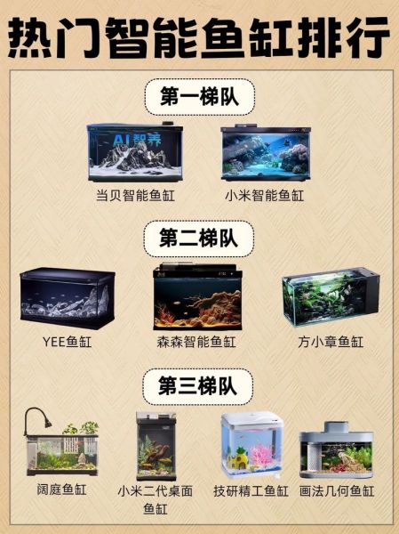 热带观赏鱼怎么养_水族箱布置技巧-第3张图片-山城妙识