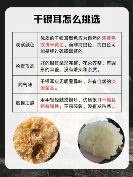 银耳怎么泡发_银耳的正确食用方法-第2张图片-山城妙识