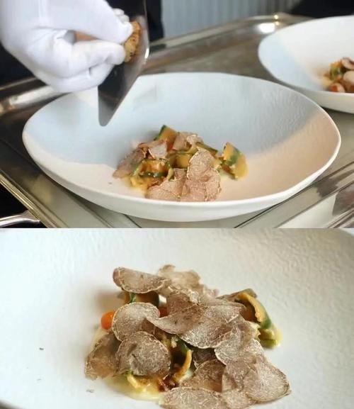 白松露菌多少钱一斤_白松露菌价格影响因素-第2张图片-山城妙识