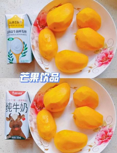 芒果奶昔怎么做_芒果奶昔怎么做好喝-第1张图片-山城妙识