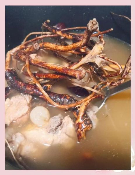 五指毛桃煲猪骨头有什么功效_适合什么人喝-第2张图片-山城妙识