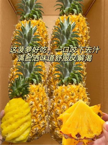 菠萝手机广告视频哪里看_菠萝手机广告视频亮点-第2张图片-山城妙识 菠萝手机广告视频哪里看_菠萝手机广告视频亮点-第2张图片-山城妙识