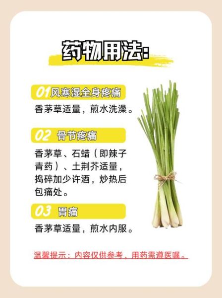 香茅是什么_香茅的功效与作用-第1张图片-山城妙识