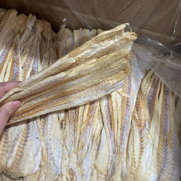 活柴鱼怎么保存_活柴鱼多少钱一斤-第2张图片-山城妙识