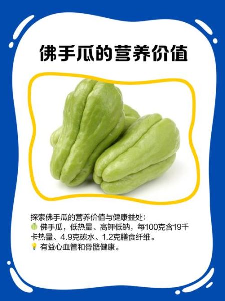 佛手瓜可以生吃吗_佛手瓜生吃安全吗-第2张图片-山城妙识