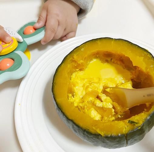 鸡蛋南瓜羹的做法_南瓜羹怎么做好吃-第1张图片-山城妙识