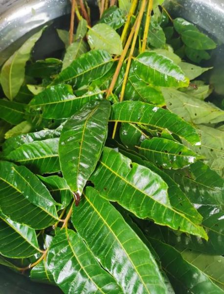 豆瓣酱的功效与作用_豆瓣酱怎么吃最健康-第2张图片-山城妙识