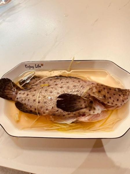 老鼠斑多少钱一斤_老鼠斑怎么做好吃-第2张图片-山城妙识