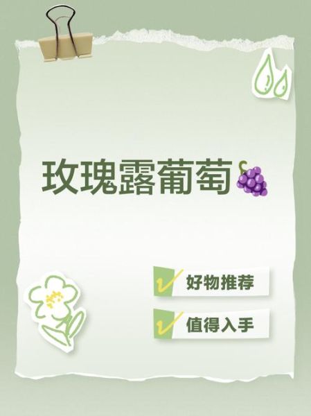 玫瑰露葡萄怎么吃_玫瑰露葡萄产地哪里-第1张图片-山城妙识