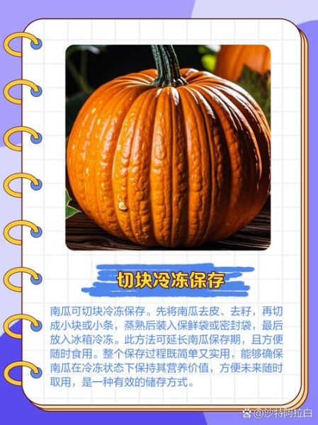 小南瓜怎么保存_小南瓜能放多久-第2张图片-山城妙识 小南瓜怎么保存_小南瓜能放多久-第2张图片-山城妙识