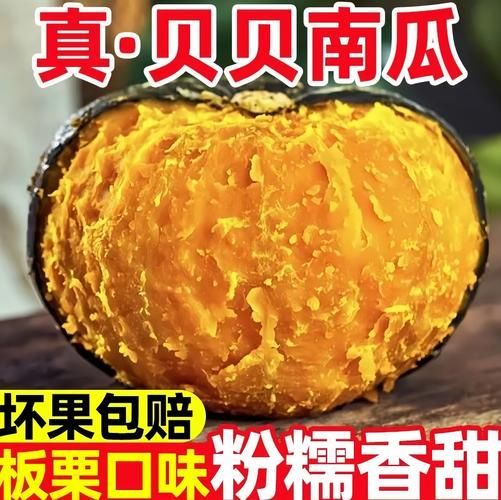 小南瓜怎么保存_小南瓜能放多久-第3张图片-山城妙识 小南瓜怎么保存_小南瓜能放多久-第3张图片-山城妙识