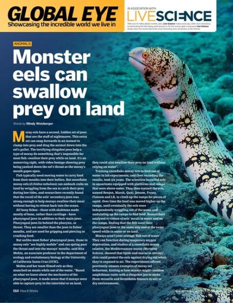 how_to_store_watermelons_plural_what_are_watermelons_plural-第2张图片-山城妙识