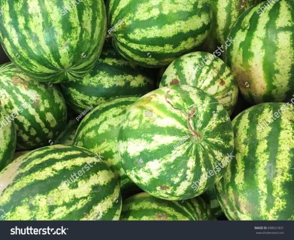 how_to_store_watermelons_plural_what_are_watermelons_plural-第3张图片-山城妙识