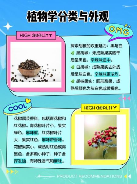 胡椒和花椒的区别_胡椒和花椒的用途-第1张图片-山城妙识