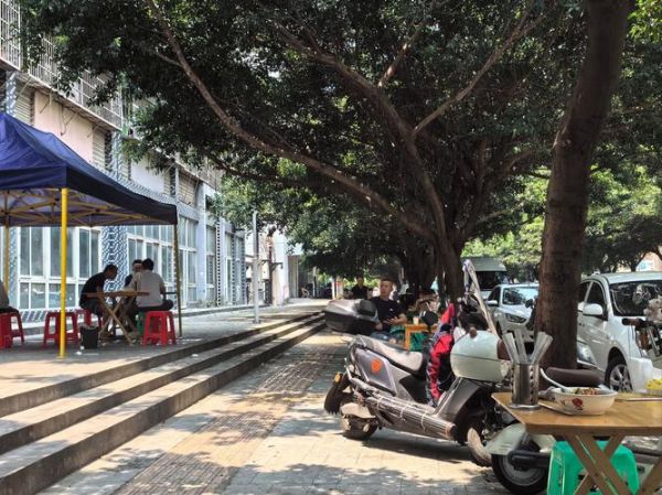 回锅肉盖饭怎么做_回锅肉盖饭家常做法-第1张图片-山城妙识 回锅肉盖饭怎么做_回锅肉盖饭家常做法-第1张图片-山城妙识