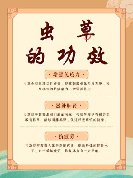 虫草的功效与作用有哪些_虫草怎么吃最有营养-第3张图片-山城妙识 虫草的功效与作用有哪些_虫草怎么吃最有营养-第3张图片-山城妙识