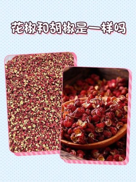 胡椒和花椒的区别_胡椒和花椒的用途-第3张图片-山城妙识