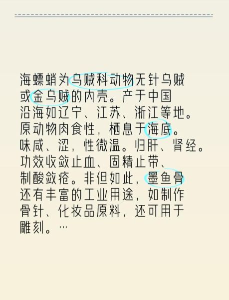 长期吃海螵蛸的危害_海螵蛸副作用有哪些-第1张图片-山城妙识