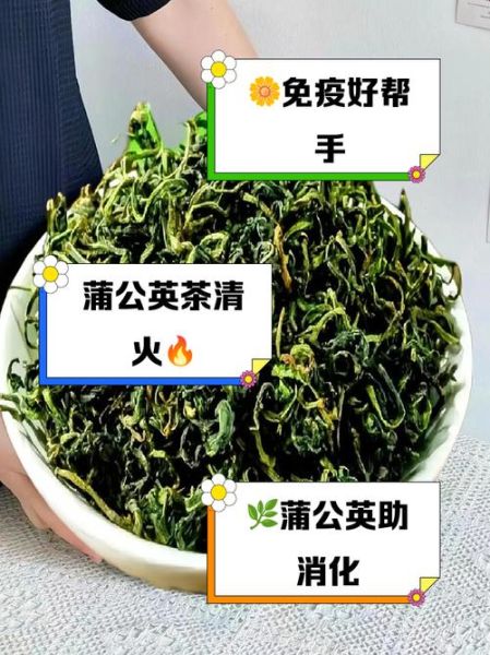 长期喝蒲公英茶的作用_蒲公英茶能天天喝吗-第2张图片-山城妙识 长期喝蒲公英茶的作用_蒲公英茶能天天喝吗-第2张图片-山城妙识