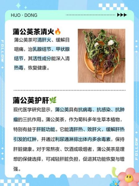 长期喝蒲公英茶的作用_蒲公英茶能天天喝吗-第3张图片-山城妙识 长期喝蒲公英茶的作用_蒲公英茶能天天喝吗-第3张图片-山城妙识